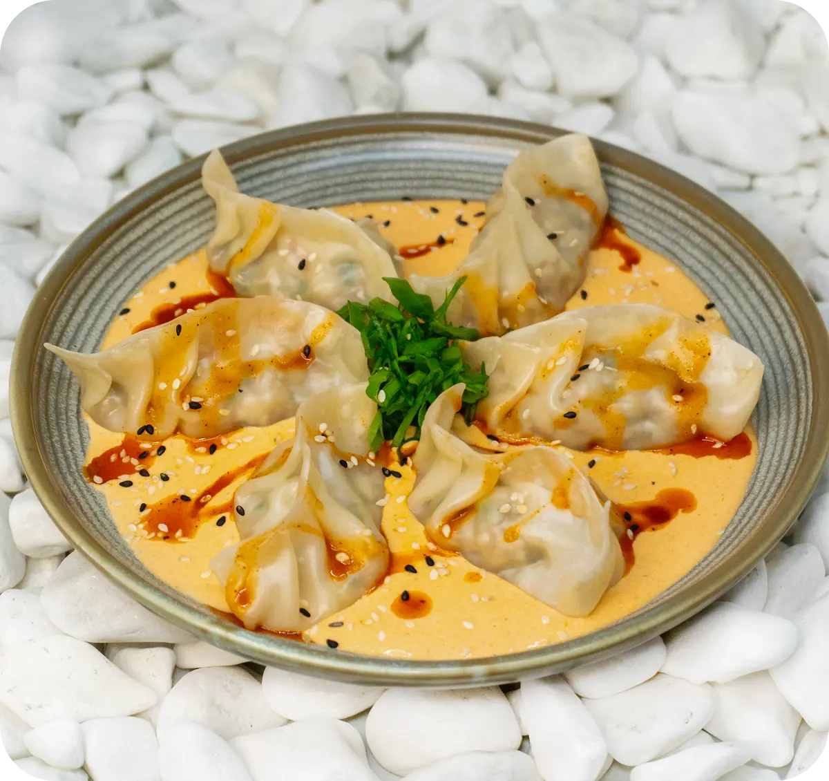Gyoza / Spring Rolls — выбери из 2 | Доставка: 50 Лей по Кишиневу ...
